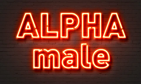 Are You An Alpha Male? (7 Traits)